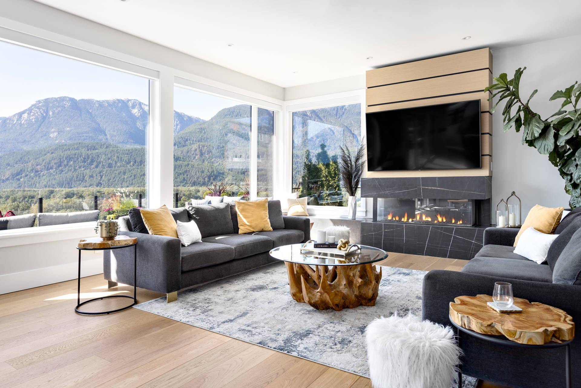 Platinum Homes - Hyden House of Design and Marketing | Whistler Web ...